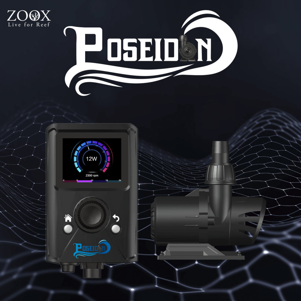 ZOOX Poseidon Return Pump – ZOOX