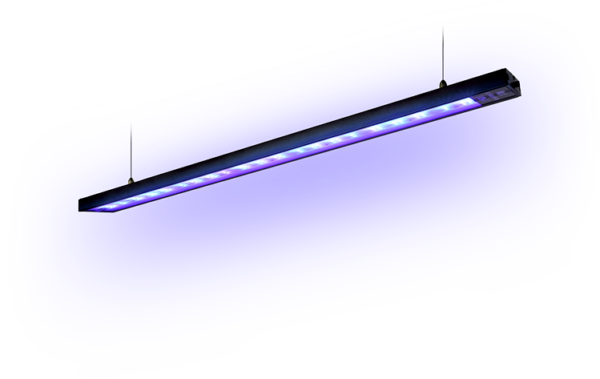 ZOOX Shiner Lite Supplement Lighting Fixture – ZOOX