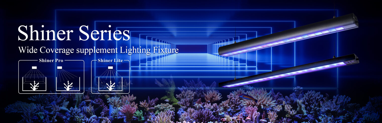 Shiner Feature – ZOOX